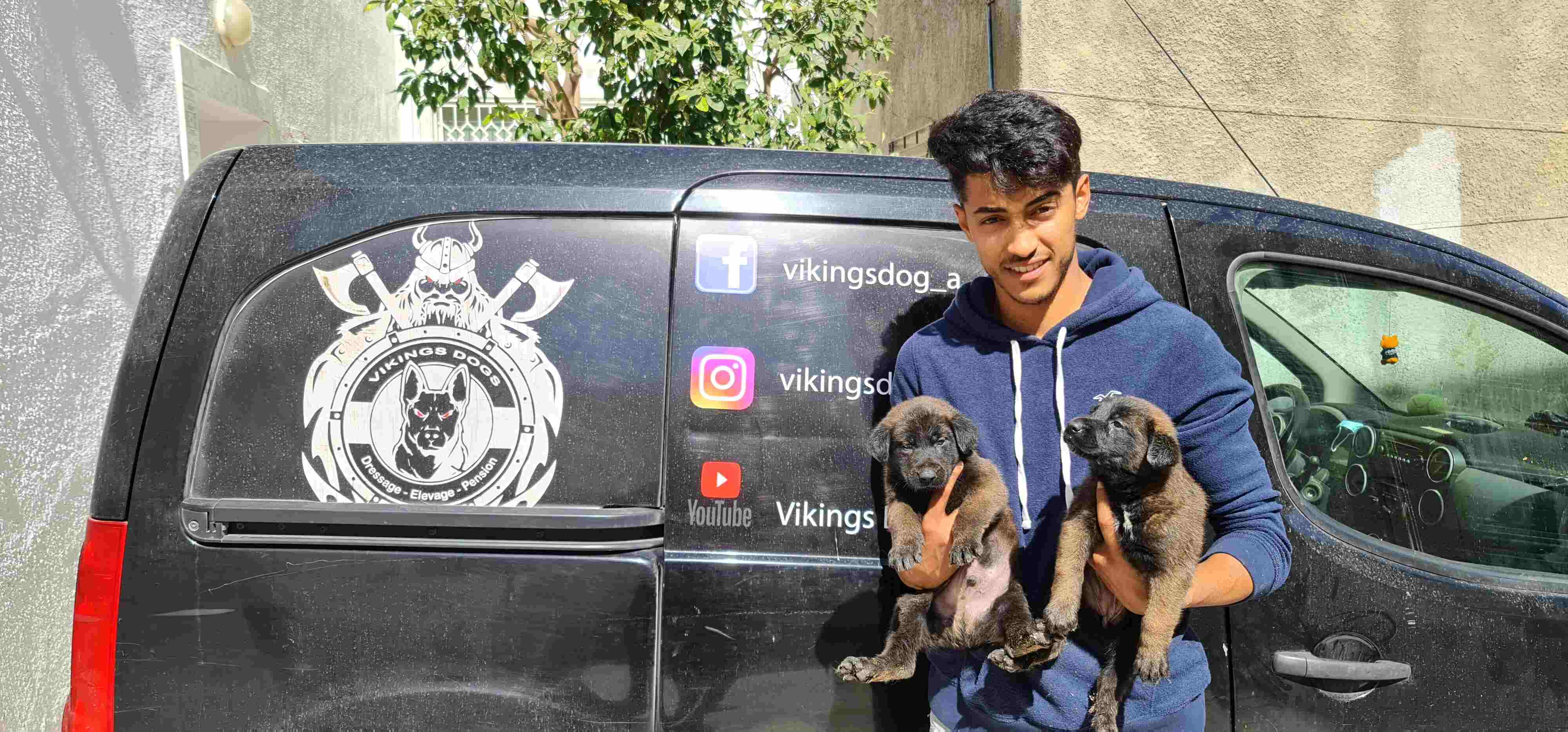 Vikings dog : Dressage Expert à Tunis, Tunis, Tahar Haddad. | ijeni