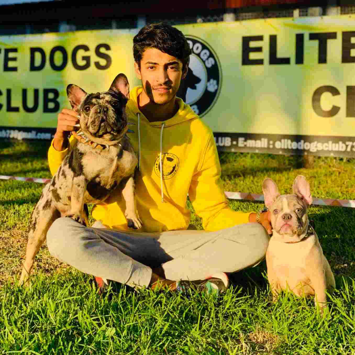 Vikings dog : Dressage Expert à Tunis, Tunis, Tahar Haddad. | ijeni